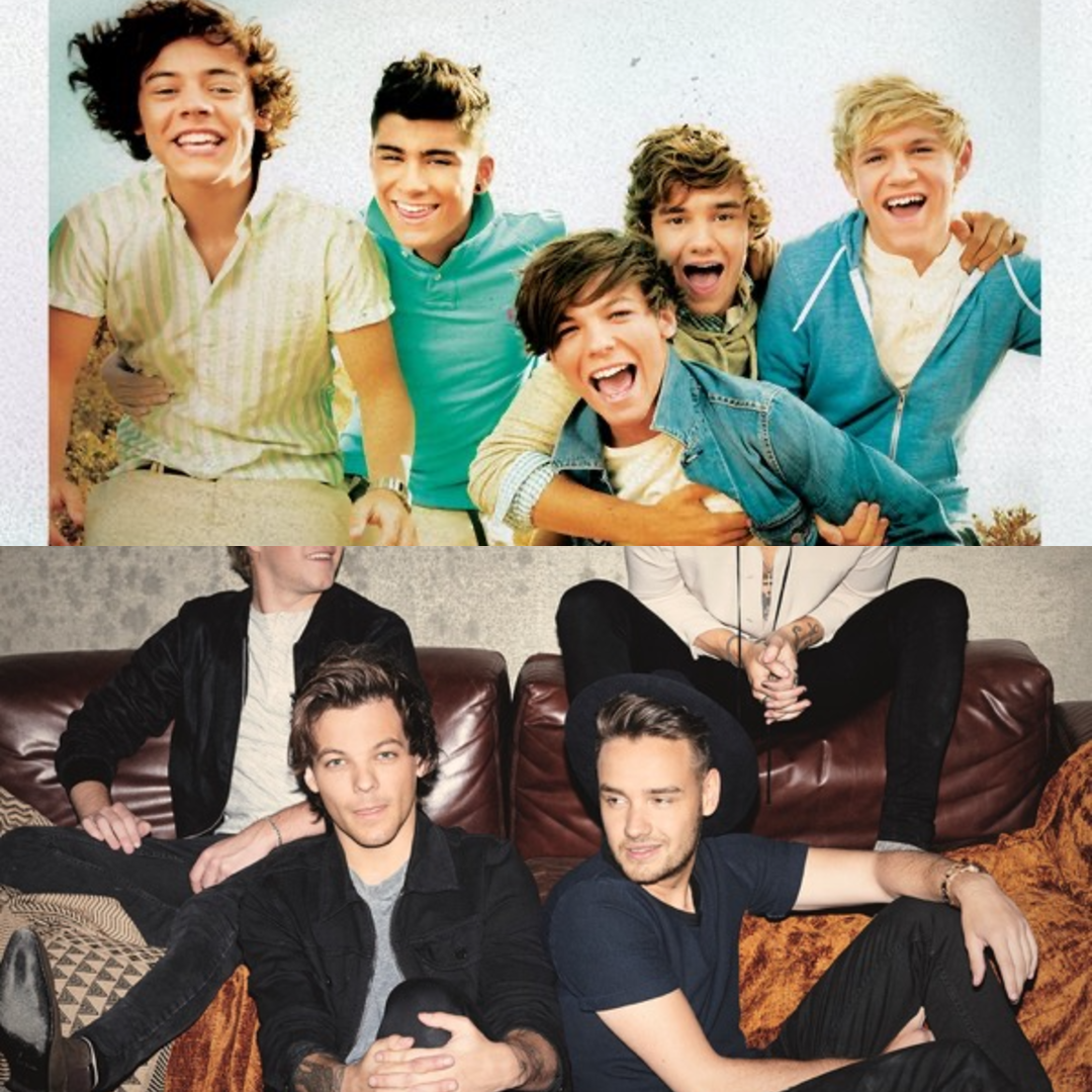 Up All Night + Made in the AM 1D Bundle – Elita Records